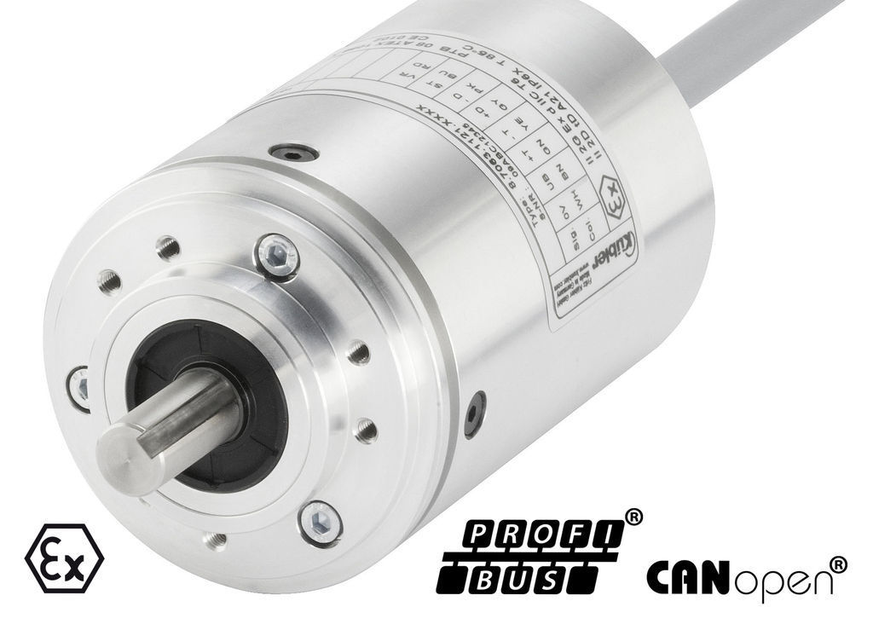 ATEX-Version mit Feldbus-Schnittstelle Profibus und CANopen