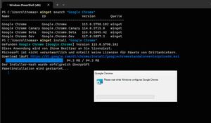 Software mit der PowerShell installieren || Bild 3 / 4