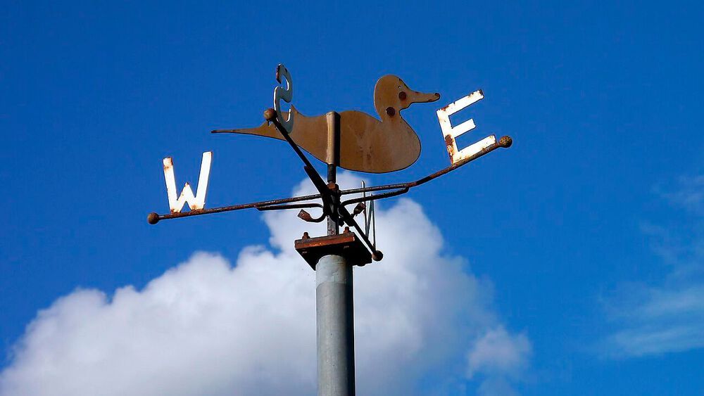 Aardvark Weather: A Revolutionary AI-Based Weather Prediction System