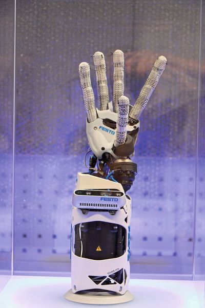 Wie die Bionik-Objekte bei Festo entstehen || Bild 1 / 11