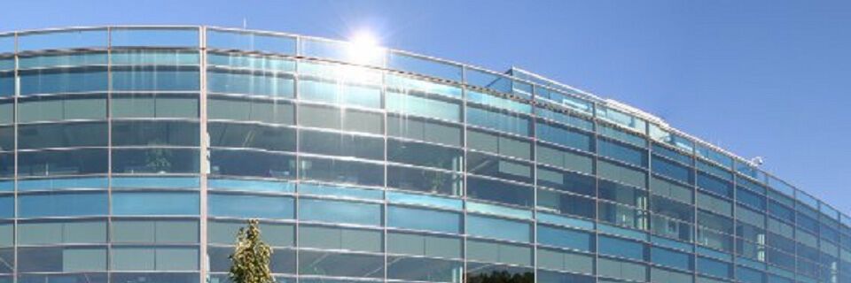 SAP Cloud Platform setzt sich durch