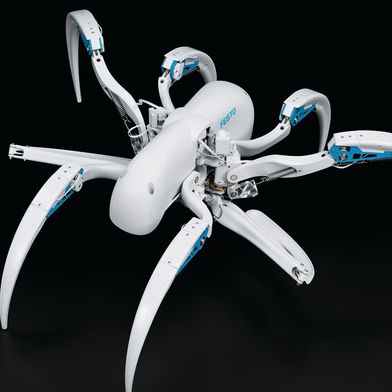 Die Natur zum Vorbild