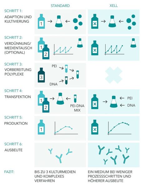 Das richtige Rezept macht’s – Spezielle Transfektionsmedien für die ...