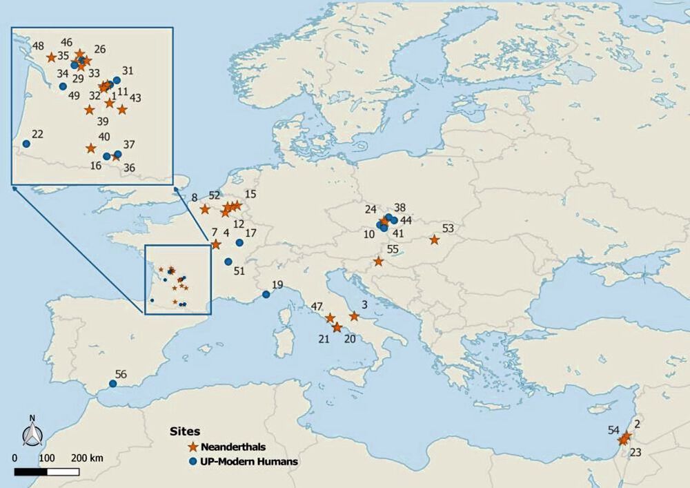 Stress in der Kindheit: Neandertaler und moderne Menschen im Vergleich
