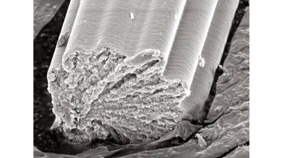 Artificial Spider Silk: Innovative Alternative to Synthetic Fibers