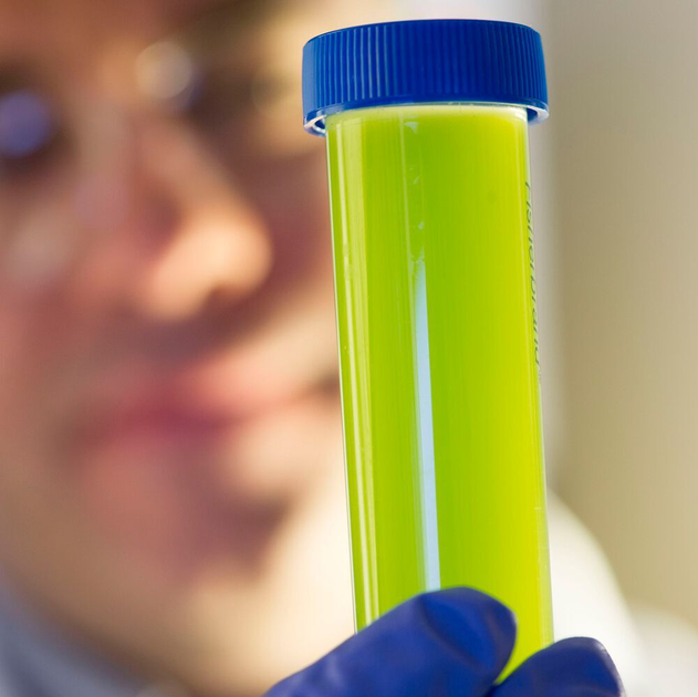 The Quest for the Holy Grail of Bio-Based Products