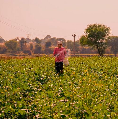 OCI Global Sells 50 % Stake in Fertiglobe to Adnoc