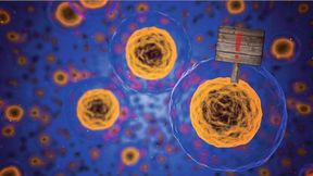 LABORPRAXIS - Das Portal für Labor, Analytik und LifeScience