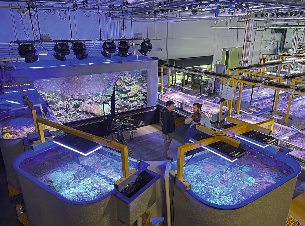 Research on the Great Barrier Reef with I/O System