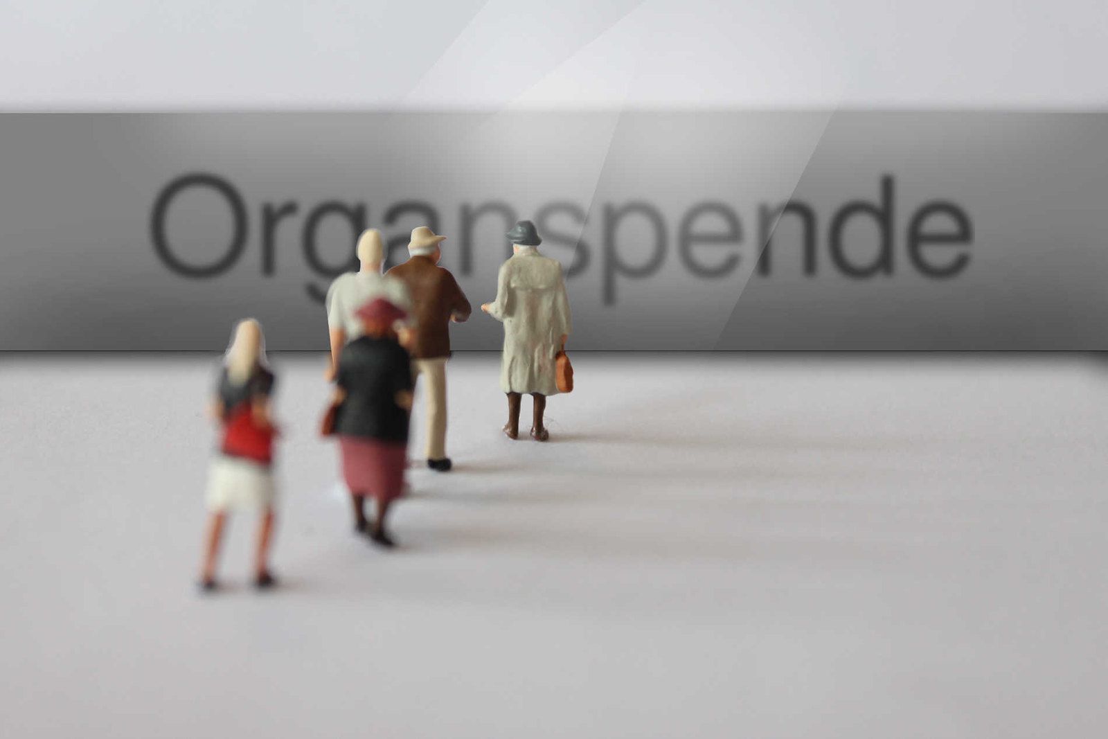 7 Fakten zur Organspende || Bild 1 / 13