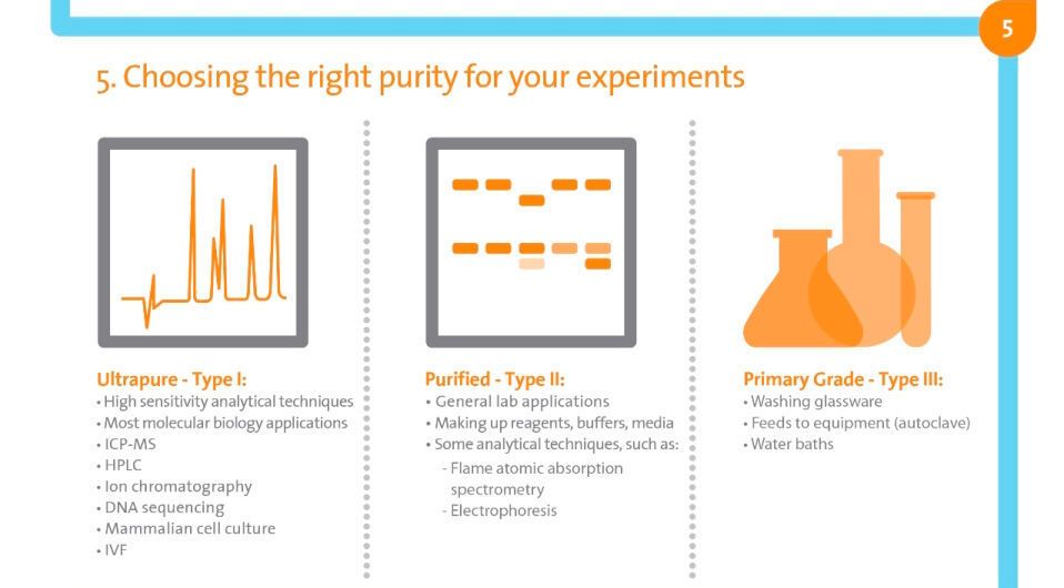 Facts About Lab Water || Picture 5 / 5