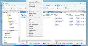 Directory Opus: umfangreicher Datei-Explorer für Windows || Bild 2 / 4