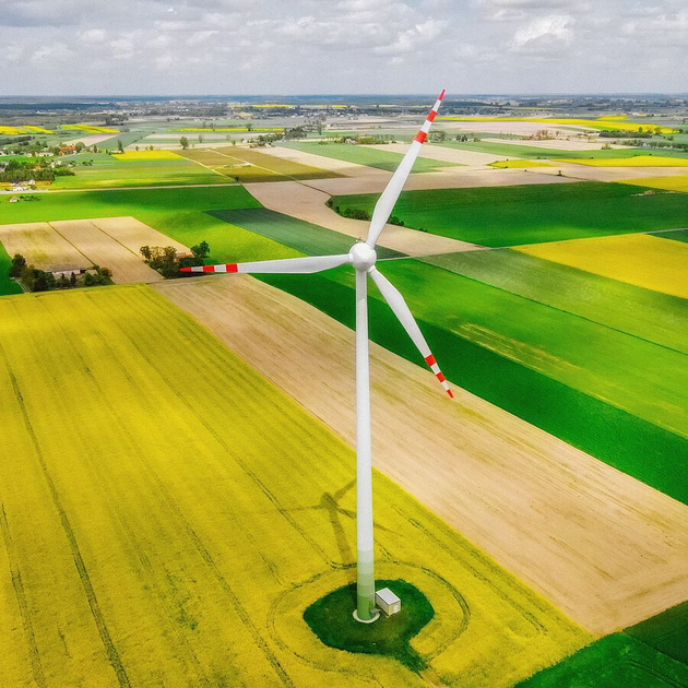 Greentech – Made in Germany: Deutschland in globaler Führungsposition?