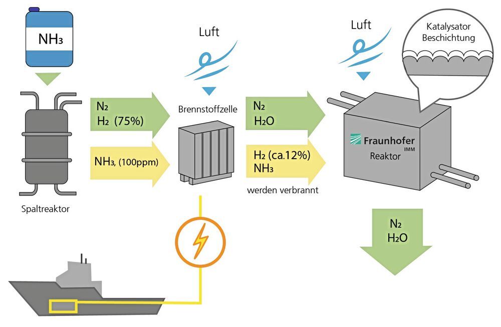 Auf die Dauer hilft nur Power (to X): Rettet Ammoniak die Wasserstoff ...