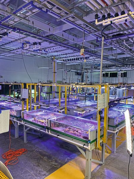 I/O-System zur Forschung am Great Barrier Reef || Bild 1 / 3