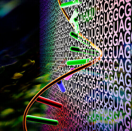 Predicting Rna 3d Structure More Accurately With Ai