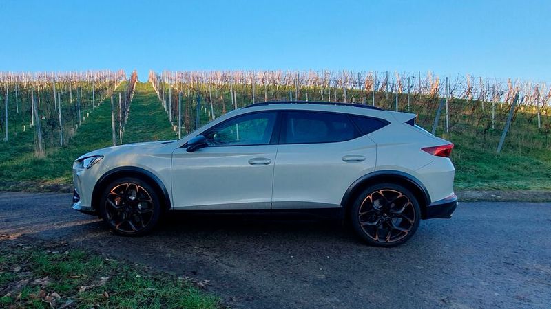 Zehn Dinge, die uns am Cupra Formentor VZ5 Taiga Grey aufgefallen sind ...