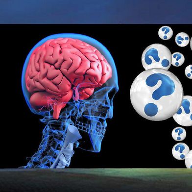 Omnibot hilft Sprachassistenten und Chatbots zu entwickeln