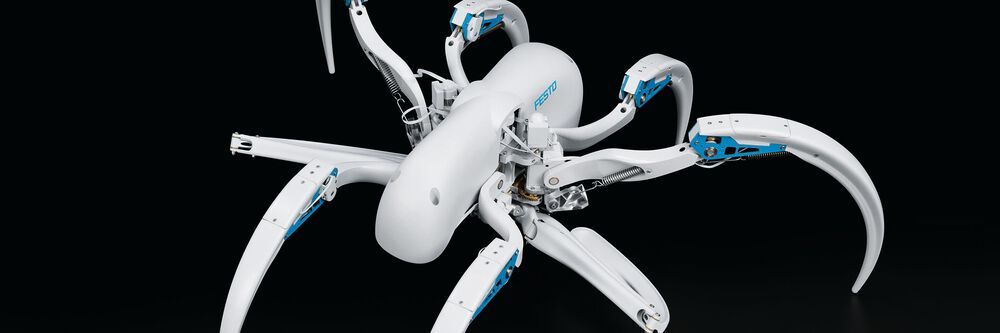 Was ist eigentlich Bionik?