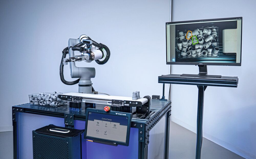 Iris mulas tits it is so pleasant that you might find