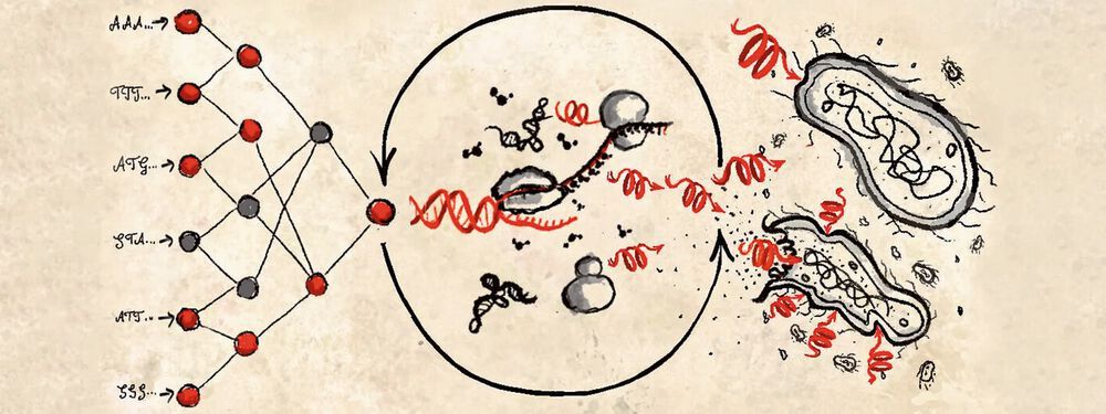 Forschung gegen Antibiotikaresistenzen: KI und synthetische Biologie