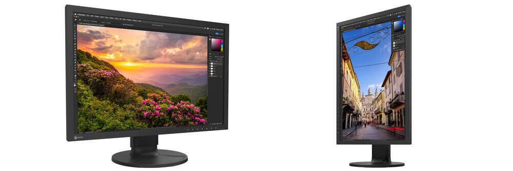 Kalibrierter 24-Zoll-Monitor mit USB-C