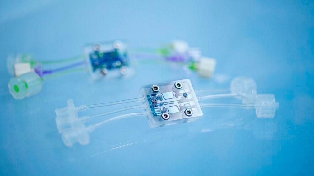 Merck And Imec Develop Microchip Platform