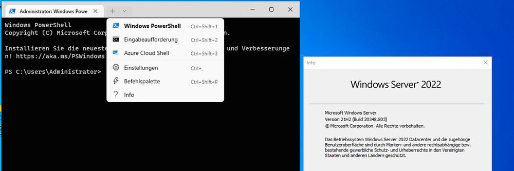 So nutzen Sie das Windows-Terminal