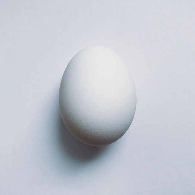 Squaring the Egg: Universal Equation for the Shape of an Egg Revealed
