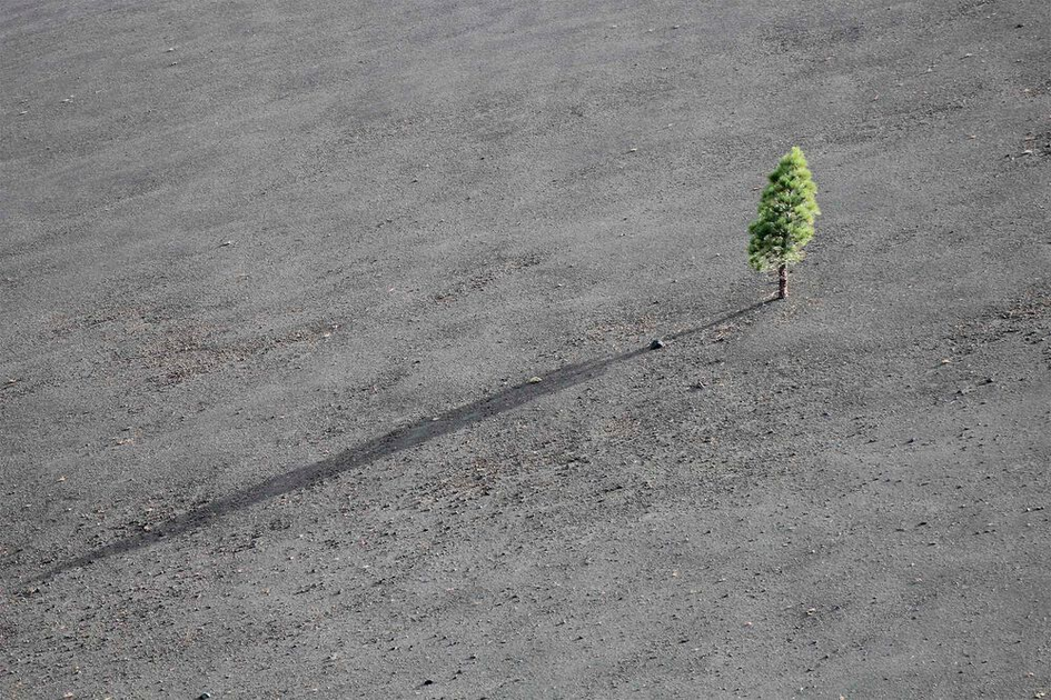 Resilienz – wie Marken über sich hinauswachsen