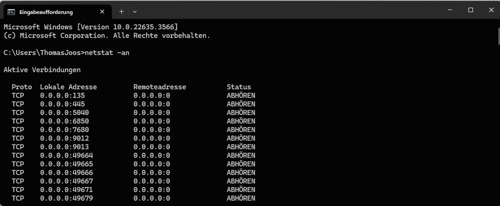 Netstat untersucht in der Befehlszeile TCP/IP-Verbindungen