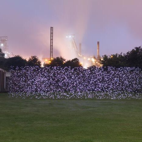 Illuminating the Invisible: Artists and Scientists Collaborate to ...