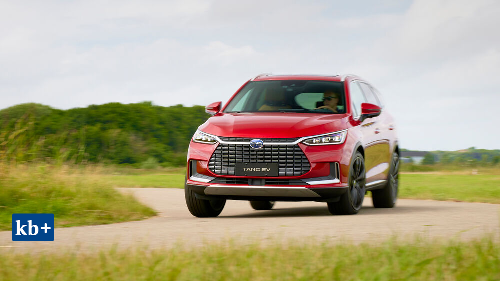 Mit diesen drei Modellen startet BYD in Deutschland