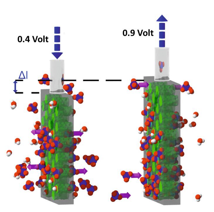 Silizium: Forscher verleihen chemischem Element Muskelkraft