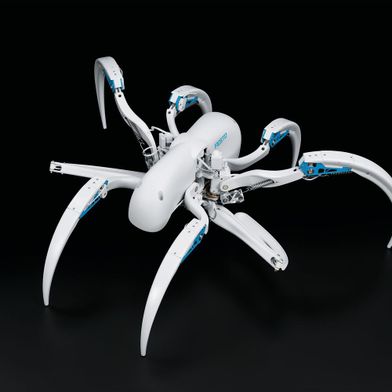 Schabe inspiriert Laufart von Robotern