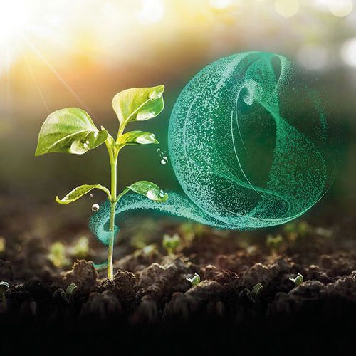 Digitalization Helps to Fast-Track Sustainability