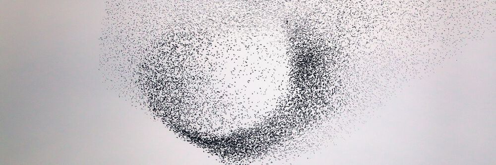 Wie Schwarmintelligenz die Wissenschaft herausfordert