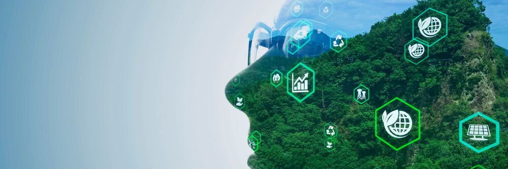 Wie der Einsatz von KI nachhaltiger werden kann