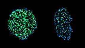 LABORPRAXIS - Das Portal für Labor, Analytik und LifeScience