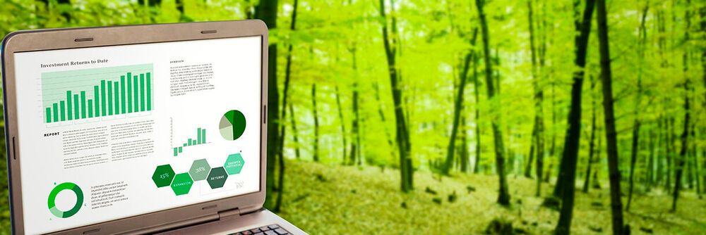 Ökosystem Wald soll digital erfasst werden