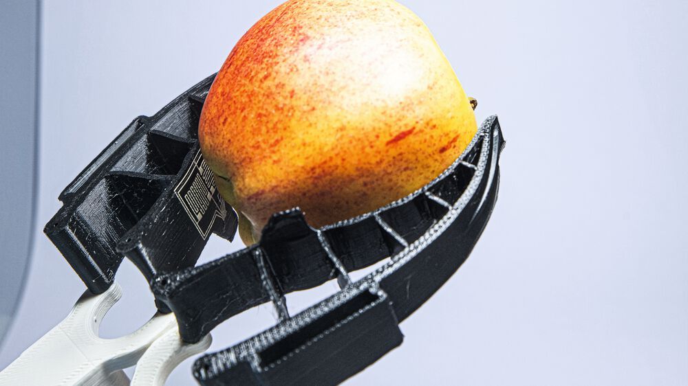 Wie eine Roboterhand das Fühlen lernt