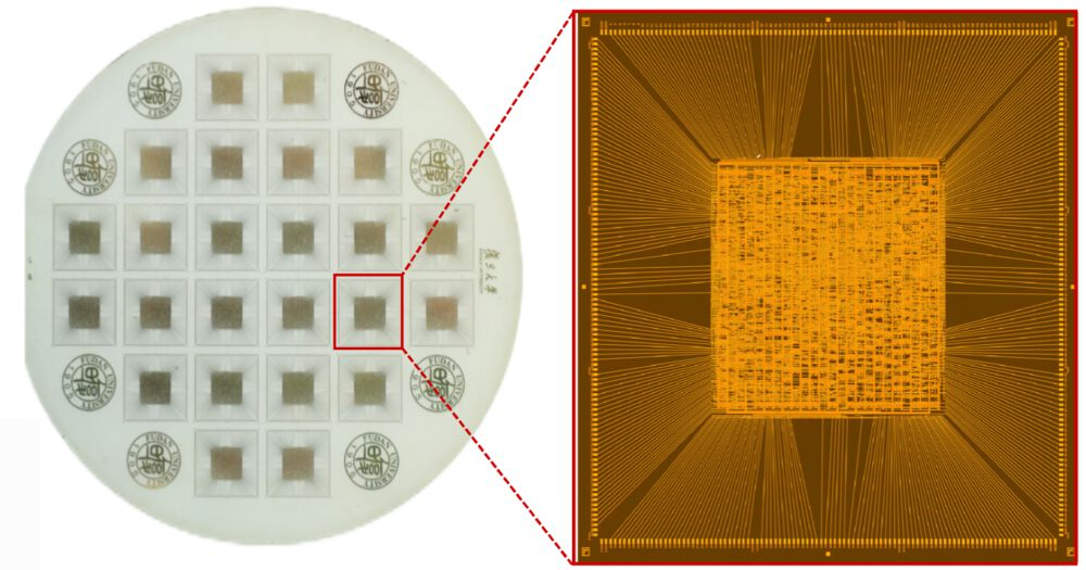 Researchers Develop Atomically Thin 32-Bit RISC Processor