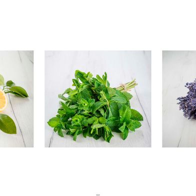 BASF’s Isobionics Inaugurates New Distillation Plant Virtually