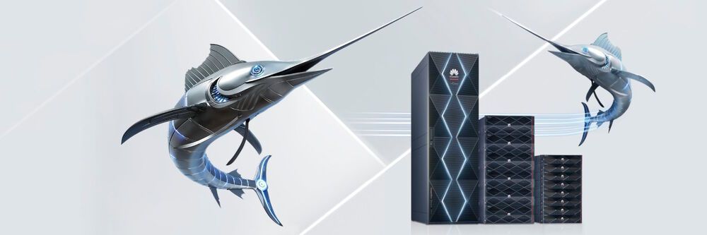 Storage-Systeme mit DPUs und Funktionsmodulen