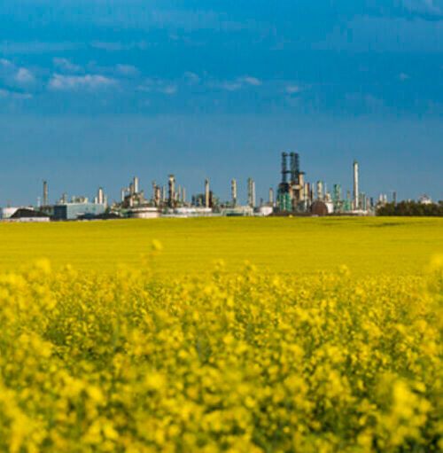 Fluor’s Carbon Capture Technology to be Used for FCL’s Renewable Diesel ...
