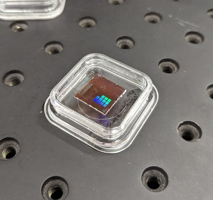 Tiny Drone Sensor Promises Cheaper Groceries Through Precision Crop ...