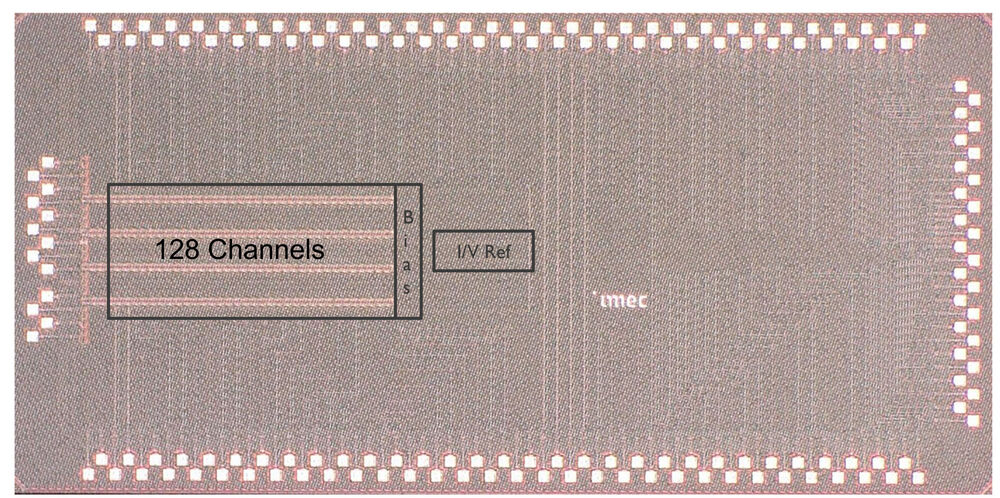 Neuartiger Neuro-Chip nutzt direkte Digitalisierung