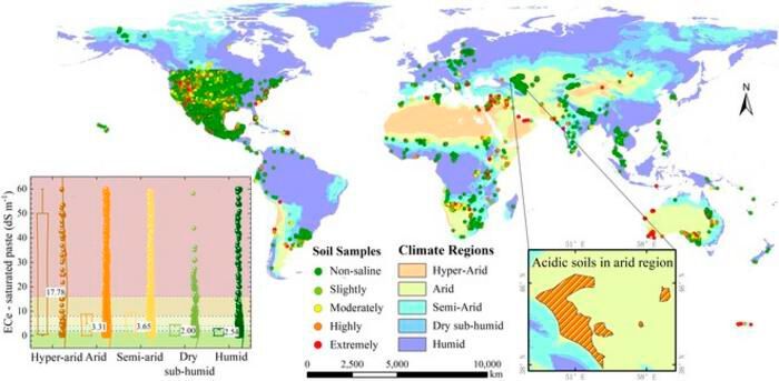 Global Soil Salt Content Mapping with 10m Detail