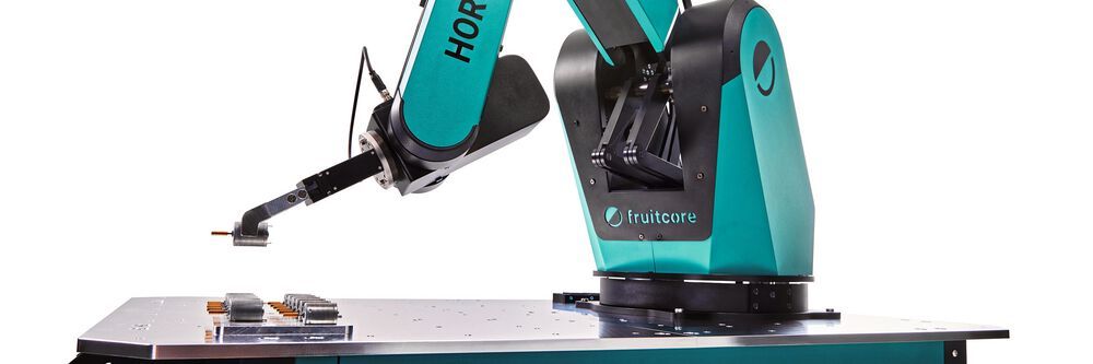 Digital Robot Horst 1000 mit bis zu 8 kg Traglast