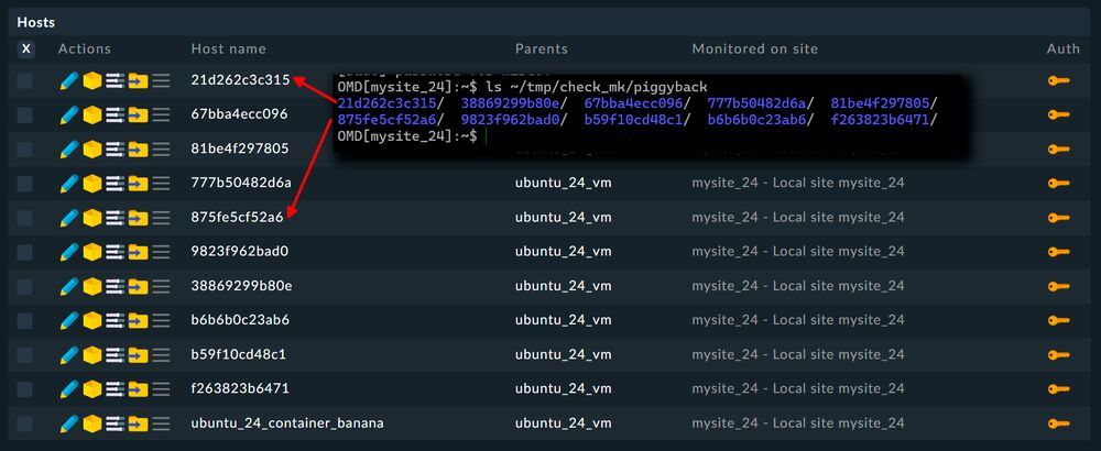 Docker-Container mit Checkmk überwachen